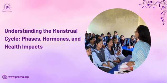 The Menstrual Cycle : Phases, Hormones, and Health Impacts